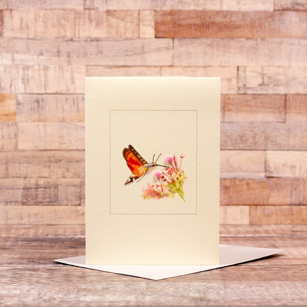 Hummingbird Hawk Moth card - Papersheep (Trade Only)