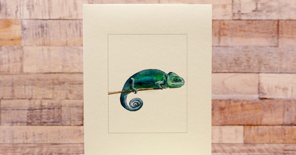 Chameleon card - Papersheep (Trade Only)