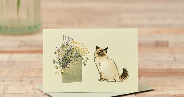 Mini Birman cat card next to large pot of flowers - Papersheep (Trade Only)