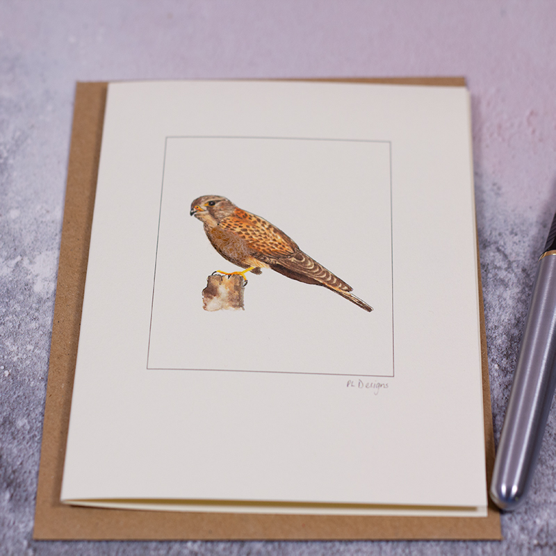 NEW - Papersheep (Trade Only)