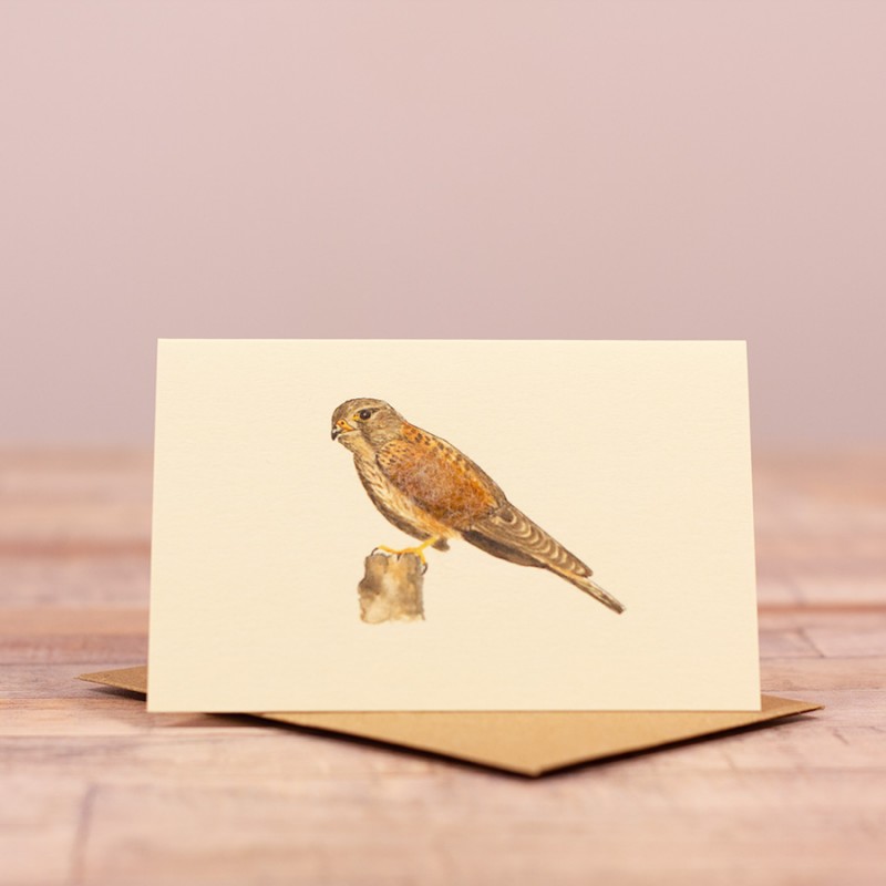 NEW - Papersheep (Trade Only)