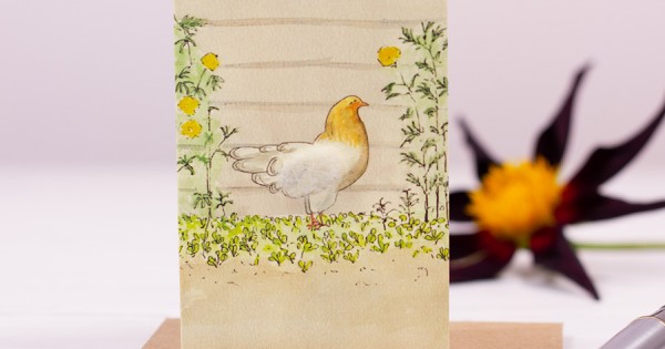 Mini Chicken in the flower border card - Papersheep (Trade Only)