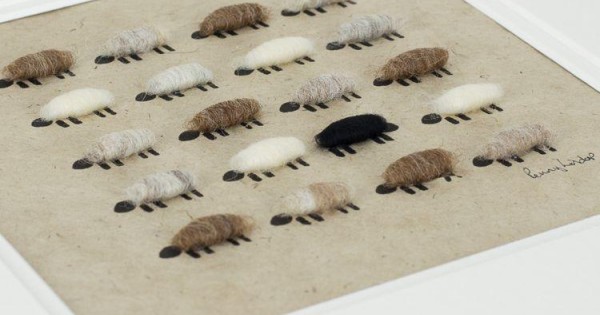 Sheep Prints - Papersheep (Trade Only)