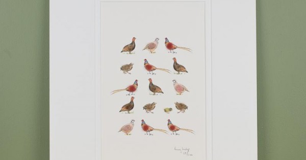 Limited Edition Of Game Birds print - Papersheep (Trade Only)