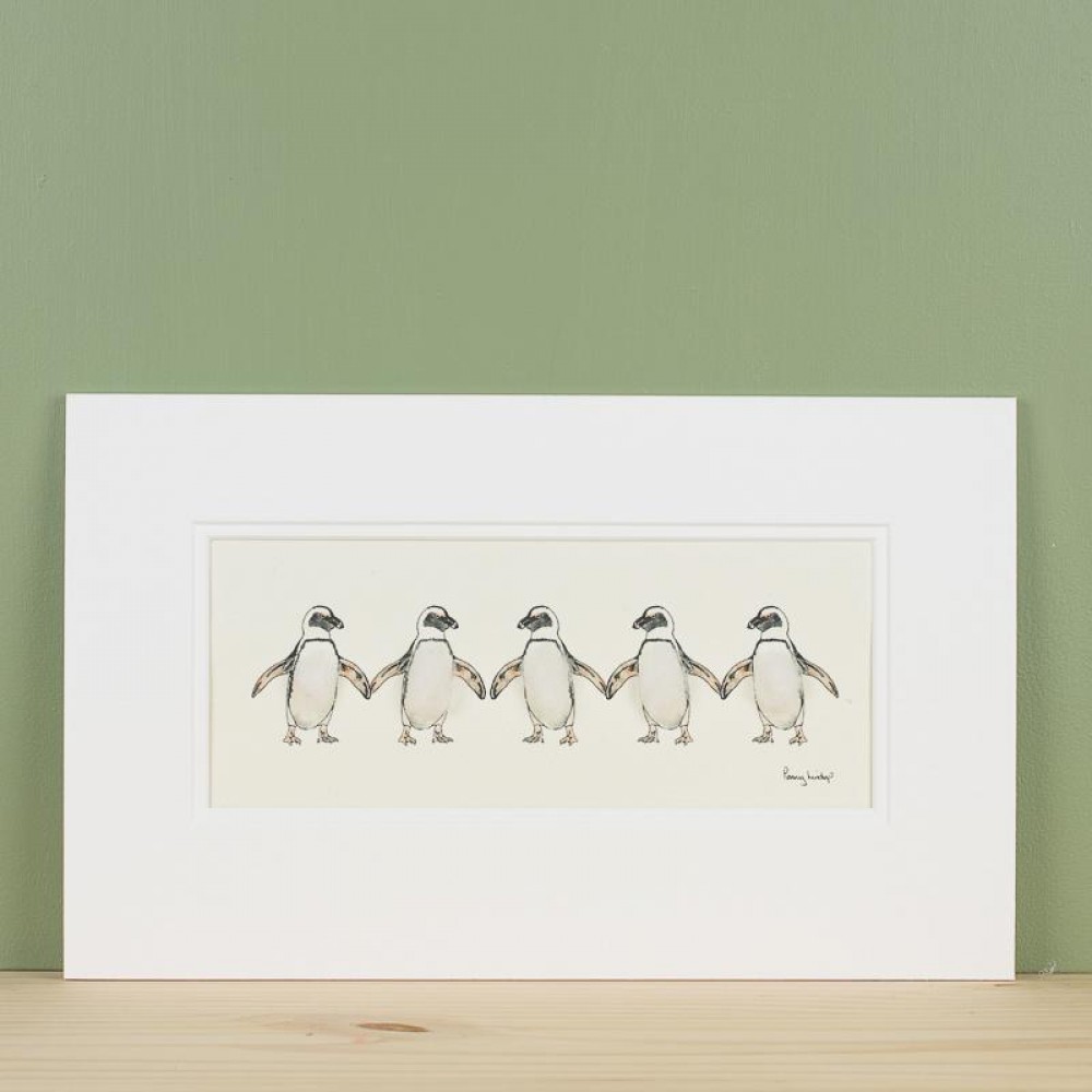 Jackass Penguins print - Papersheep (Trade Only)