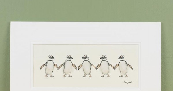 Jackass Penguins print - Papersheep (Trade Only)